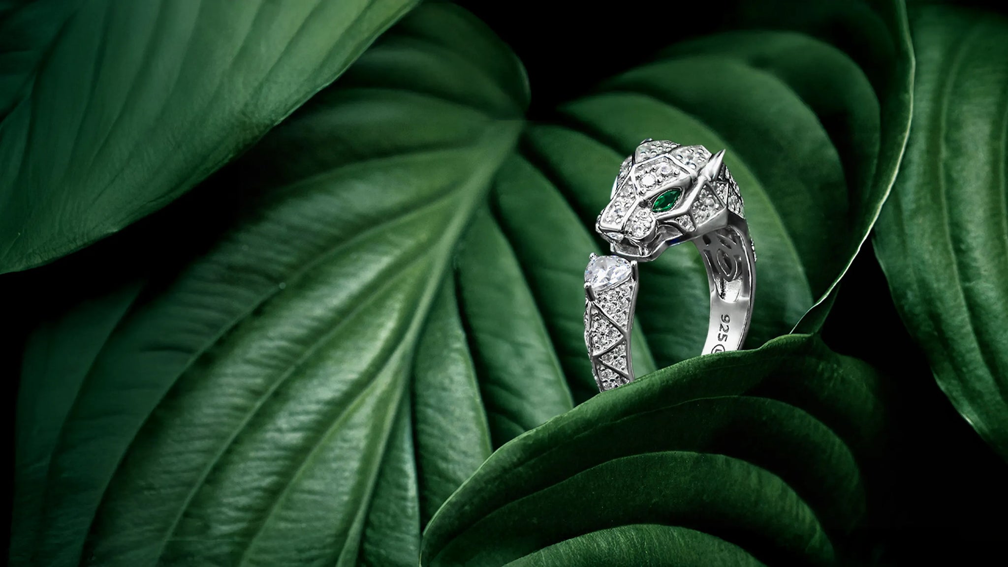 Panther Collection from Joya & Co.